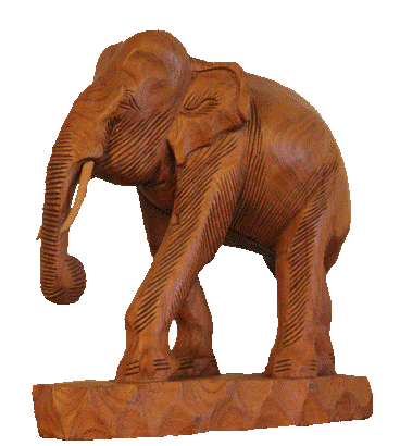 Pellets/Biomass Gallery | Timber Team International A/S